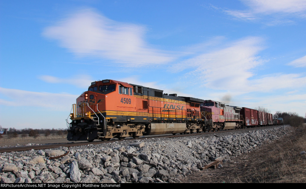 Nice Elephant Style Lash Up